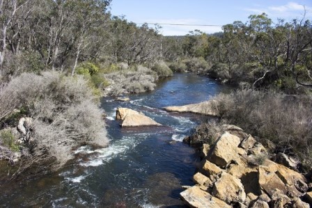 peterhennessywater > Macquarie Cudgegong Rivers
