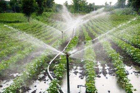 Permanent Water for Sale